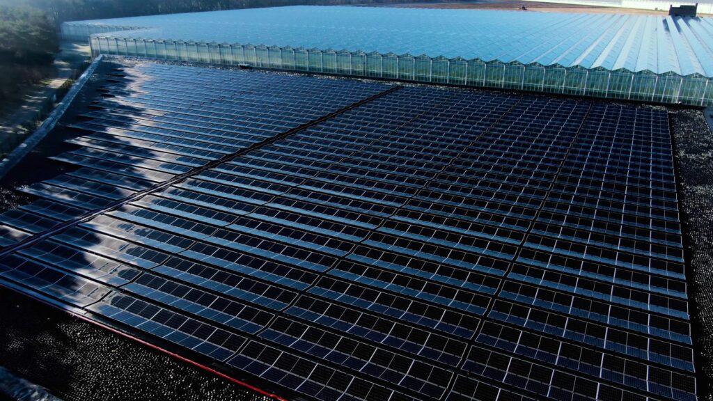 Ansys Ls Dyna ® Oasys Ls Dyna 环境