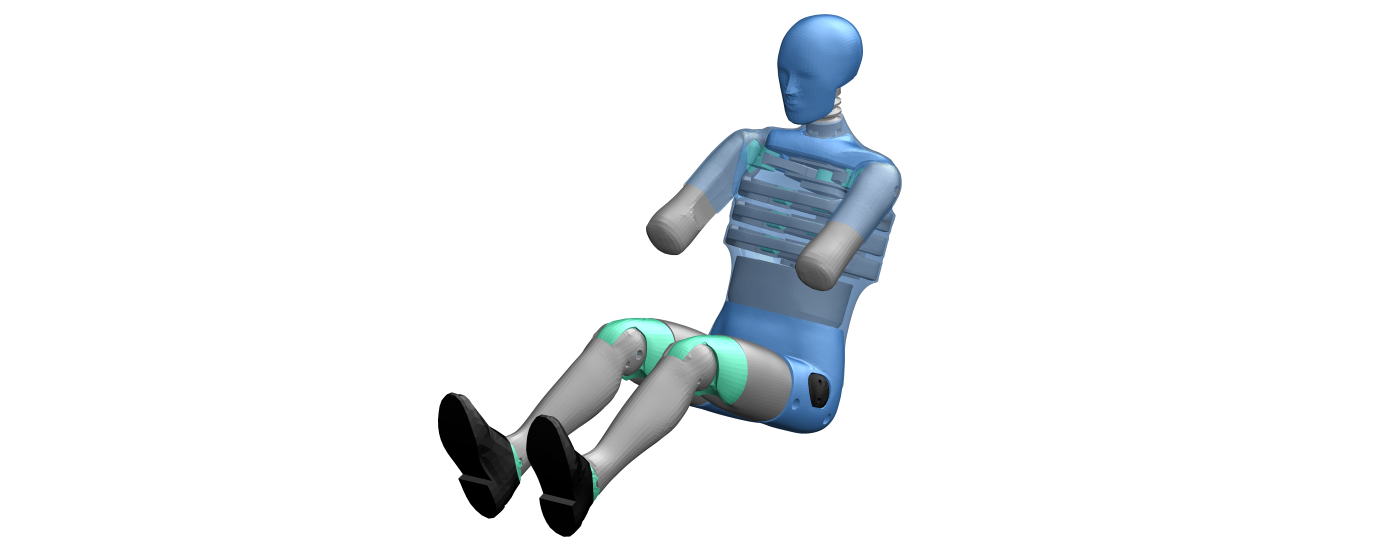 FAT Dummy Models - Oasys LS-DYNA Environment